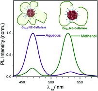 Photoluminescence dynamics of copper nanoclusters synthesized by ...