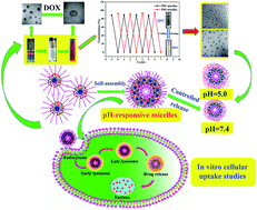 Synthesis and self-assembly behavior of pH-responsive star-shaped POSS ...