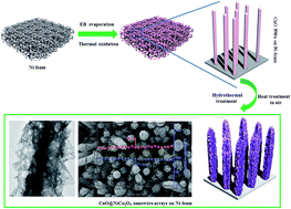 Nanoforest of hierarchical core/shell CuO@NiCo2O4 nanowire heterostructure arrays on nickel foam ...