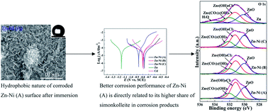 Corrosion mechanism of nanocrystalline Zn–Ni alloys obtained from a new ...