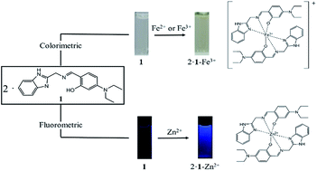 A highly sensitive benzimidazole-based chemosensor for the colorimetric detection of Fe(ii) and ...