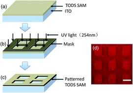 Supported lipid bilayer membrane arrays on micro-patterned ITO ...