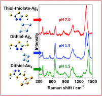 Surface selective binding of 2,5-dimercapto-1,3,4-thiadiazole (DMTD) on ...
