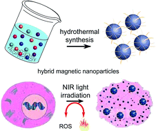 Achieving enhanced NIR light-induced toxicity via novel hybrid magnetic ...