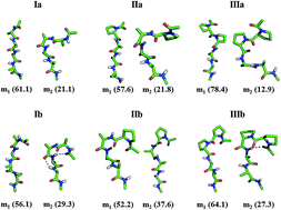 Computational scrutiny of the effect of N-terminal proline and residue ...