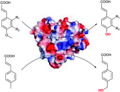 The efficient and selective catalytic oxidation of para-substituted ...