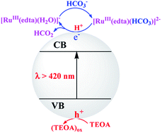 RuIII-edta (edta4− = ethylenediaminetetraacetate) mediated ...
