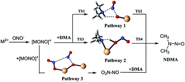 Effects of heavy metal ions on N-nitrosodimethylamine (NDMA) formation ...