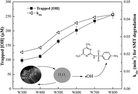 Influence of morphological and chemical features of biochar on hydrogen ...