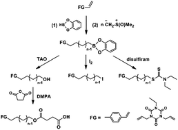 New synthetic strategy targeting well-defined α,ω-telechelic ...