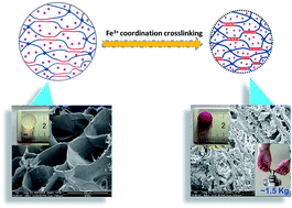A thermo-responsive dual-crosslinked hydrogel with ultrahigh mechanical ...