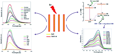 ZnO as an efficient nucleating agent and morphology template for rapid ...
