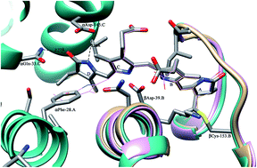Crystal structure analysis of phycocyanin from chromatically adapted ...