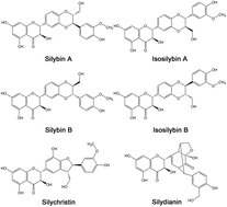 Silymarin nanoparticles through emulsion solvent evaporation method for ...