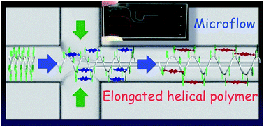 Flowing microenvironments regulate the helical pitch of a semi ...
