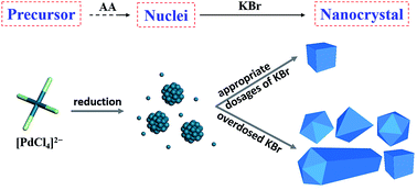 Deep insights into the growth pattern of palladium nanocubes with ...