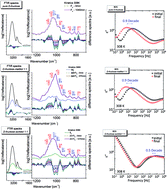 Experimental (FTIR, BDS) and theoretical analysis of mutarotation ...