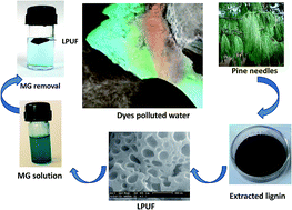 New lignin-based polyurethane foam for wastewater treatment - RSC ...