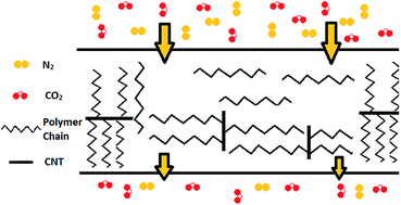 Pebax-1657 mixed matrix membrane containing surface modified multi ...