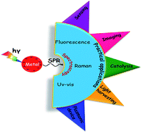 Enlightening surface plasmon resonance effect of metal nanoparticles ...