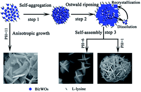 Shape-selective synthesis of Bi2WO6 hierarchical structures and their ...