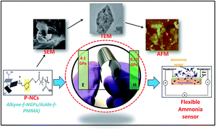 Strategy to synthesise nano-engineered polymer nanocomposite with a ...