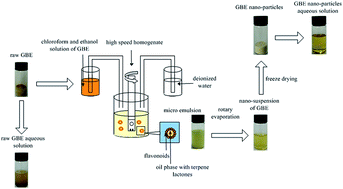 Enhanced dissolution rate and oral bioavailability of ginkgo biloba ...