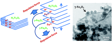 Ion-exchange bonded H2Ti3O7 nanosheets-based magnetic nanocomposite for ...