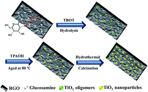 Glucosamine-induced growth of highly distributed TiO2 nanoparticles on graphene nanosheets as ...