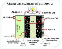 Nanostructured platinum-free electrocatalysts in alkaline direct ...