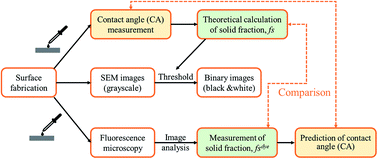 Analysis of contact area between water and irregular fibrous surface for prediction of ...