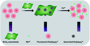 Single-layer MnO2 nanosheet quenched fluorescence ruthenium complexes ...