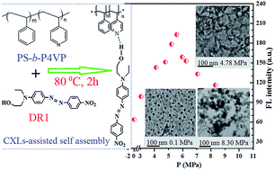 CO2-expanded liquid assisted self-assembly between Disperse Red 1 and ...