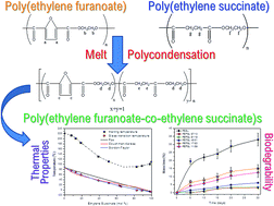 Biobased poly(ethylene furanoate-co-ethylene succinate) copolyesters ...