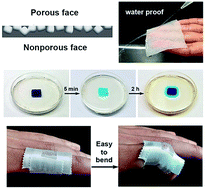 Janus films with stretchable and waterproof properties for wound care ...