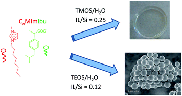 Self-encapsulation of a drug-containing ionic liquid into mesoporous ...