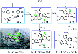 Synthesis, structure and properties of polysubstituted benzo[g]chrysene ...