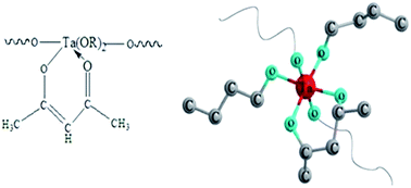 Polymer precursor synthesis of TaC–SiC ultrahigh temperature ceramic ...