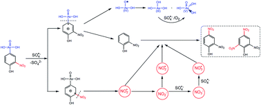 Degradation of roxarsone in a sulfate radical mediated oxidation ...