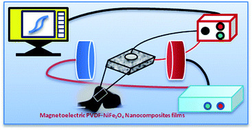 Magnetoelectric investigations on poly(vinylidene fluoride)/NiFe2O4 ...