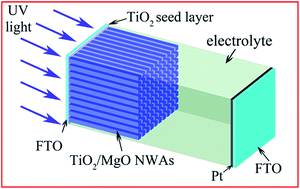 Heterostructured TiO2/MgO nanowire arrays for self-powered UV ...