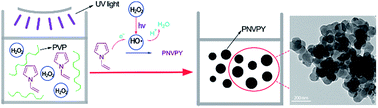 The green preparation of poly N-vinylpyrrole nanoparticles - RSC ...