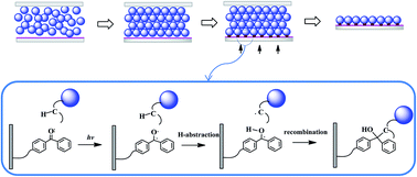 Large-area 2D microgel colloidal crystals fabricated via benzophenone ...