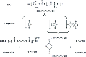 Structure, and thermal and mechanical properties of poly(propylene ...