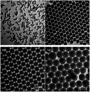 In situ charge neutralization on governing particle coagulation ...