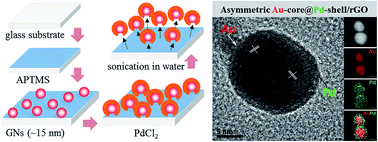 Asymmetric Au-core Pd-shell nanoparticles supported on reduced graphene ...