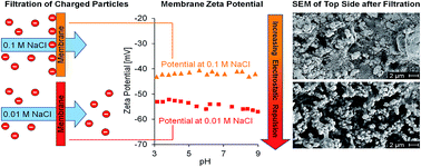 The critical zeta potential of polymer membranes: how electrolytes ...