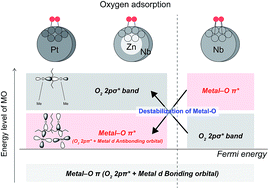 DFT calculation of oxygen adsorption on a core-single shell ZnNb ...