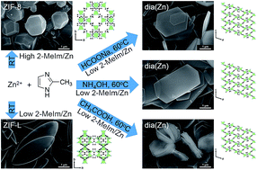 Polymorphism/pseudopolymorphism of metal–organic frameworks composed of ...