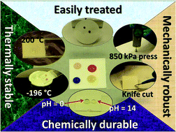 Synthesis and characterization of omniphobic surfaces with thermal ...